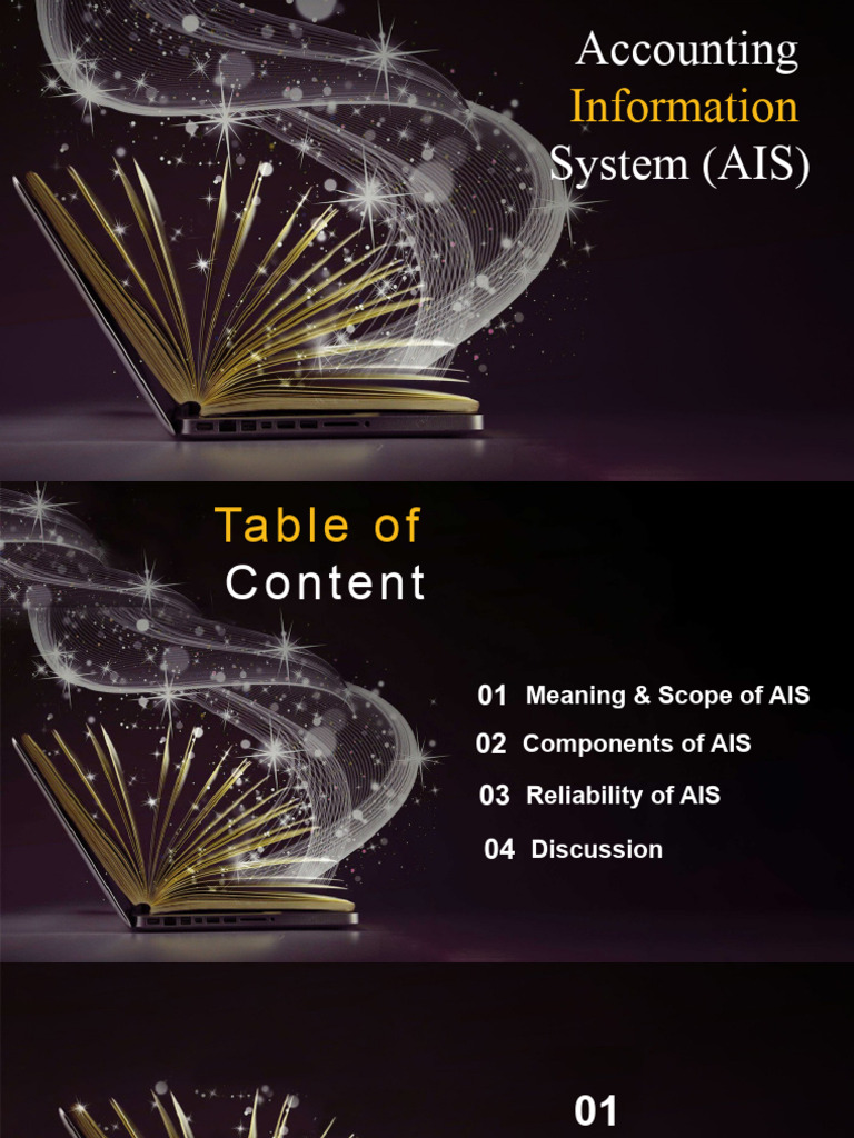 Accounting Information System | PDF | Information | System