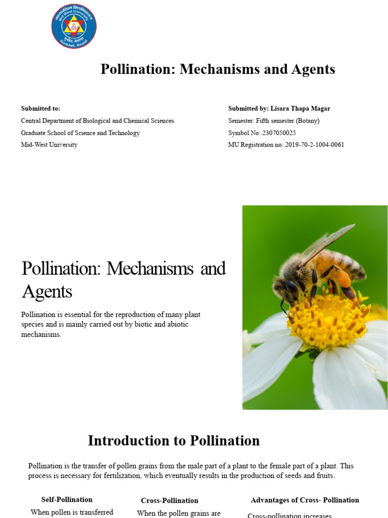 Pollination Mechanisms and Agents Explained | PDF | Pollination | Flowers