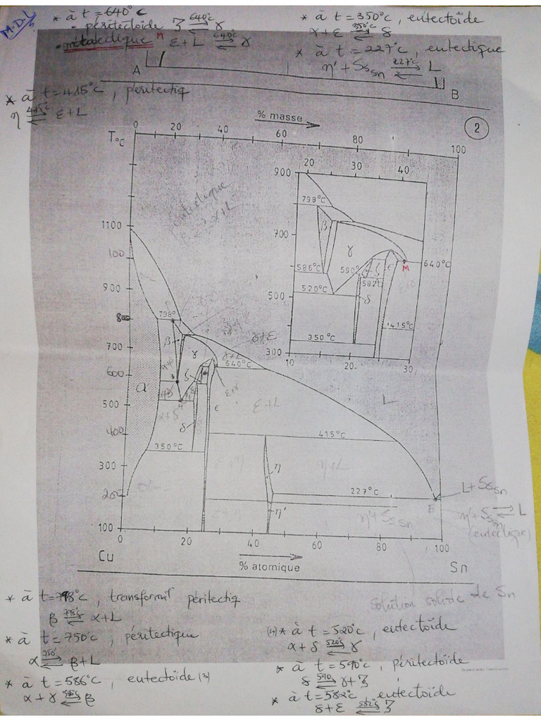 True Scanner Jan 21 2024 | PDF