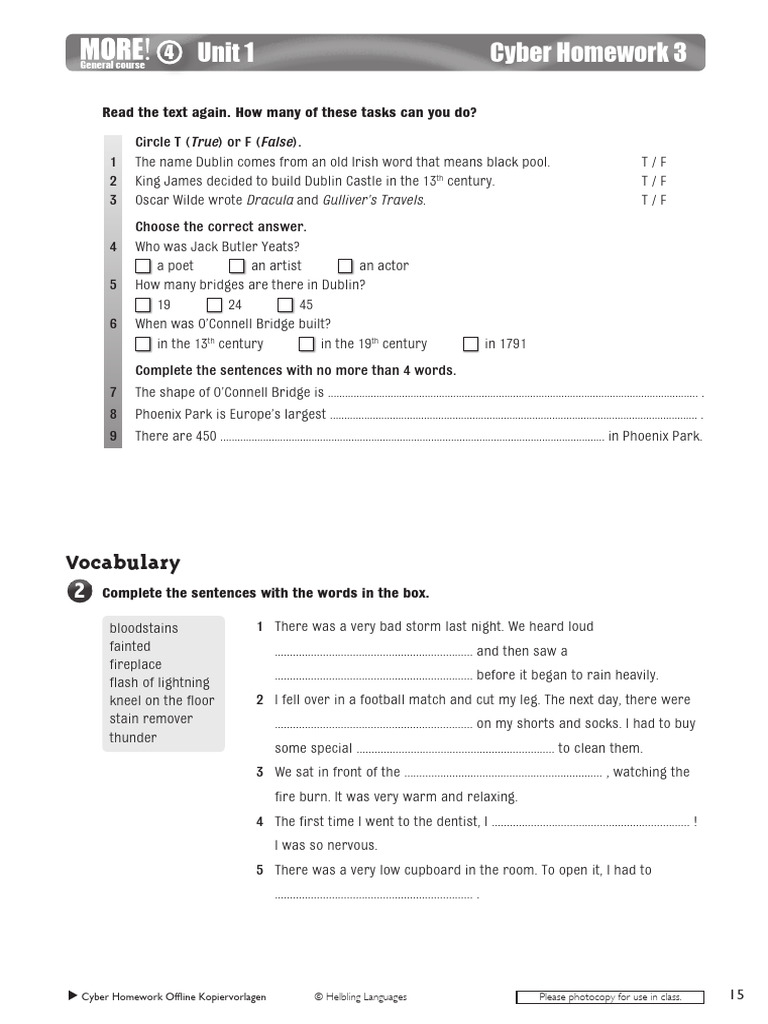 Cyber Homework 3 Unit 1: Vocabulary | PDF