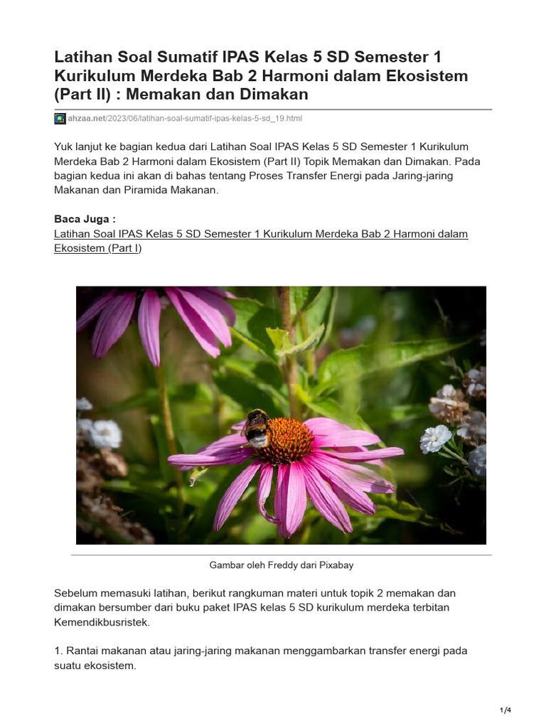Latihan Soal Sumatif Ipas Kelas 5 Sd Semester 1 Kurikulum Merdeka Bab 2
