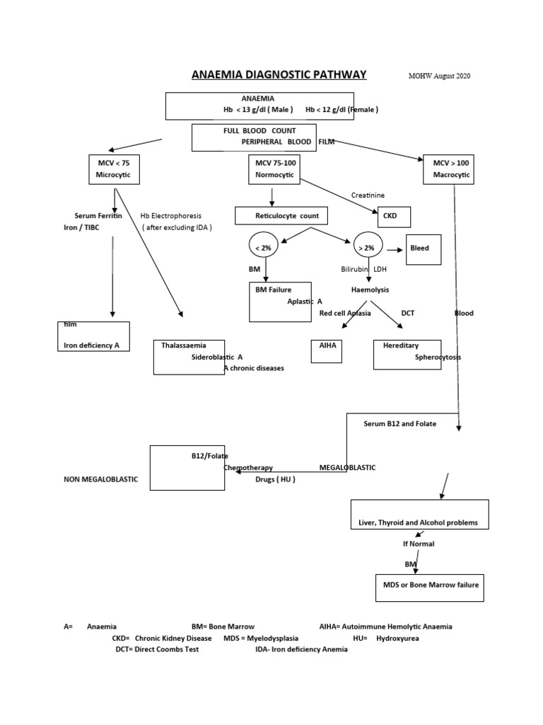 20.guidelines Anaemia | PDF | Anemia | Medical Specialties