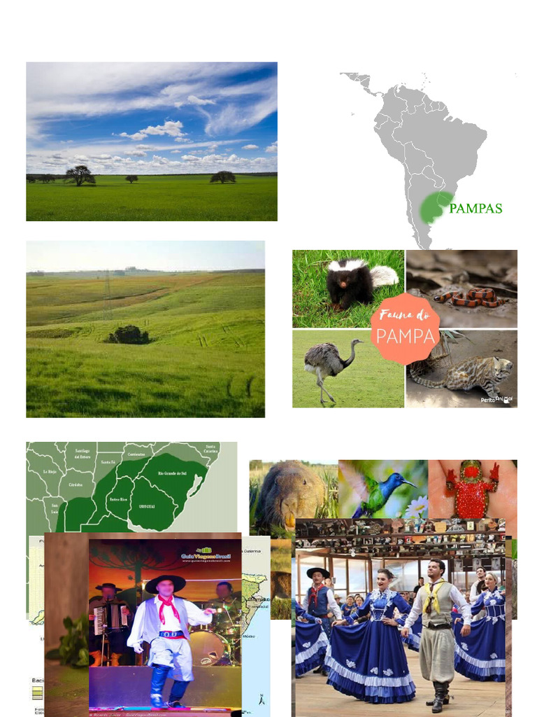 Cópia de Pampas | PDF