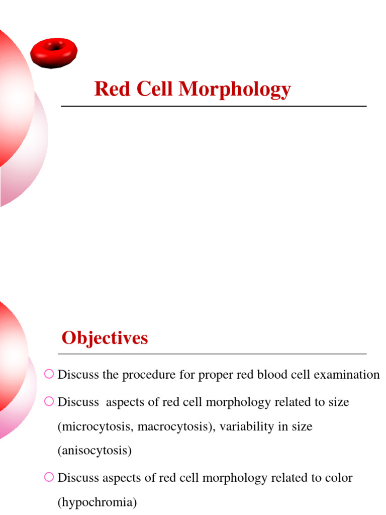 3.red Cell Morphology | PDF | Anemia | Red Blood Cell
