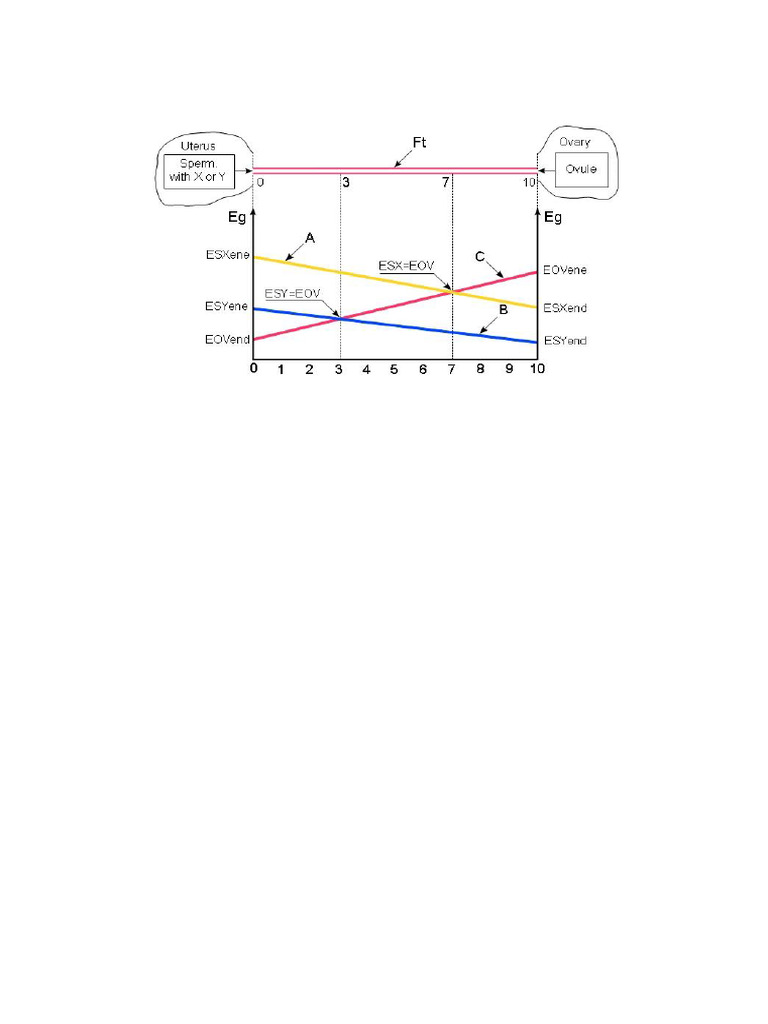 Danciu Chart | PDF