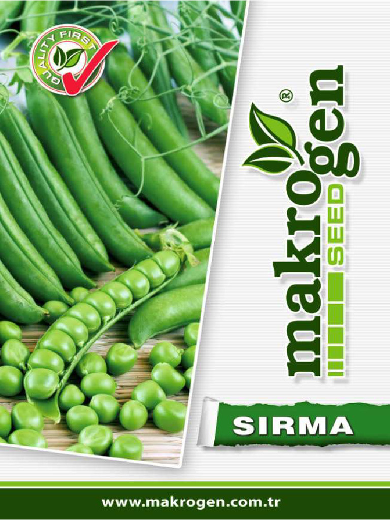 SIRMA | PDF