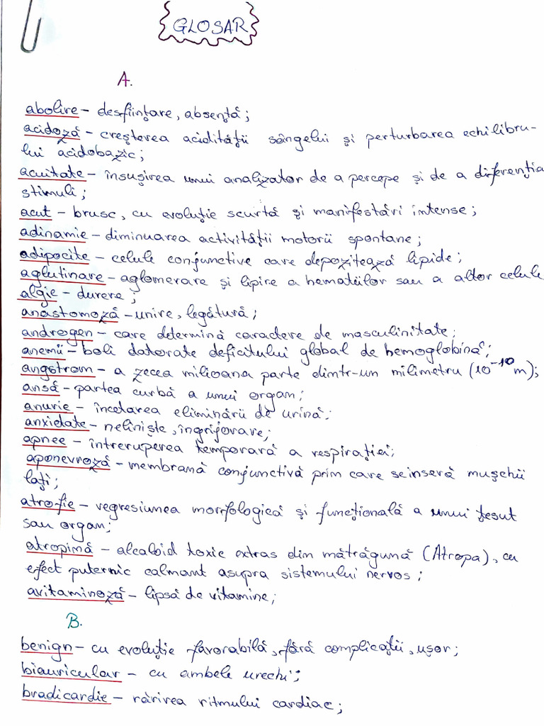 Glosar | PDF