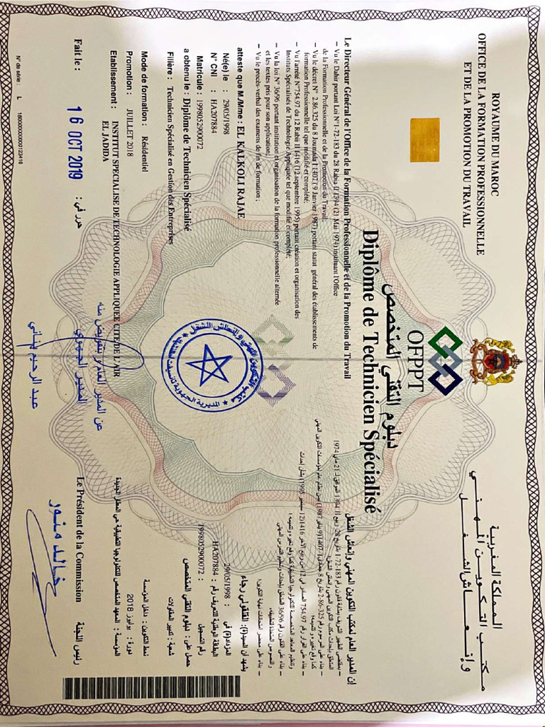 Diplome Ista Compressed | PDF