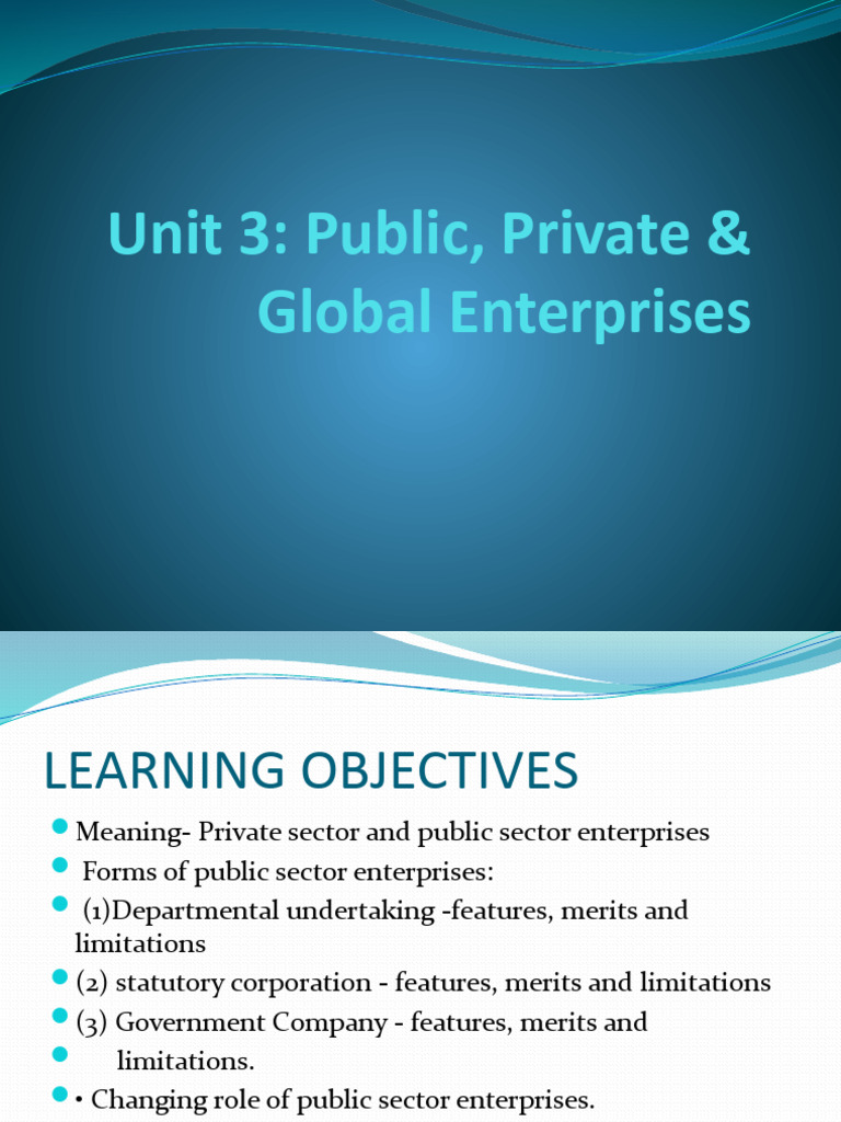 Public, Private, and Global Enterprises | PDF | Joint Venture | State ...