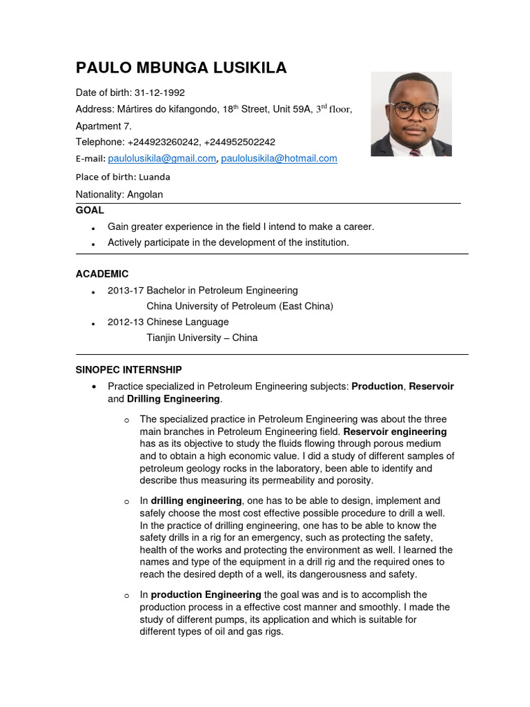 PAULO CV Inglês 2023 | PDF | Oil Well | Petroleum