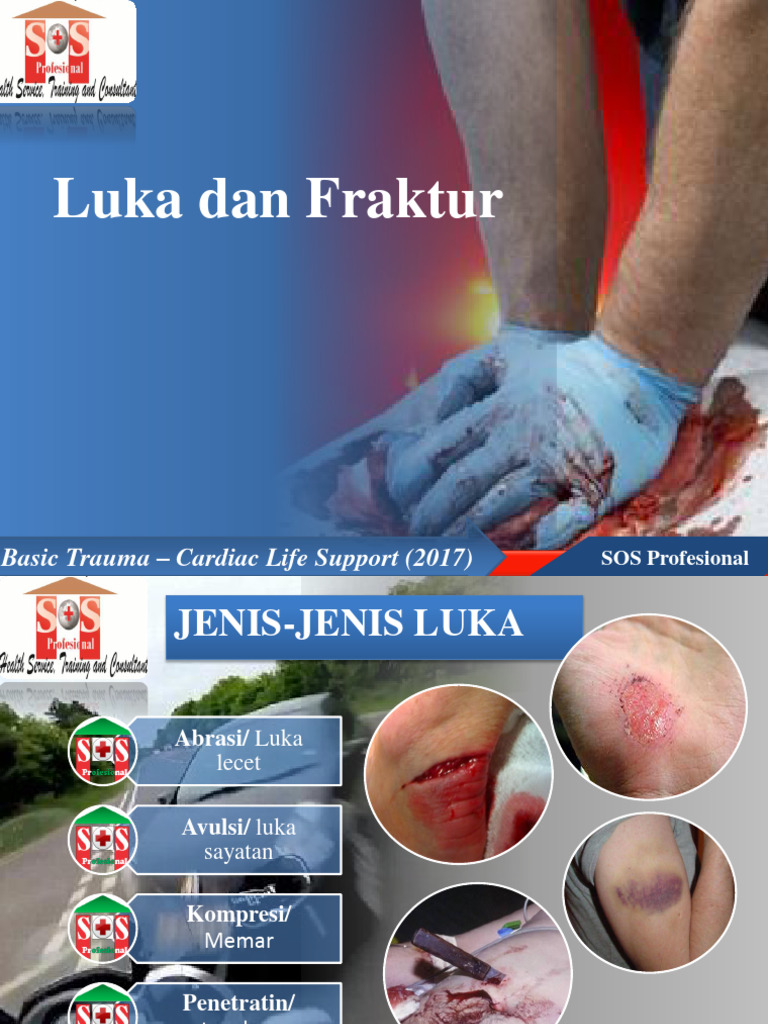 Luka & Fraktur | PDF