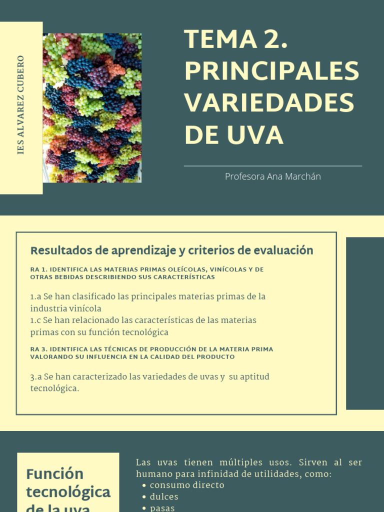 Tema 2. Principales Variedades de Uva | PDF | Vino | Uva