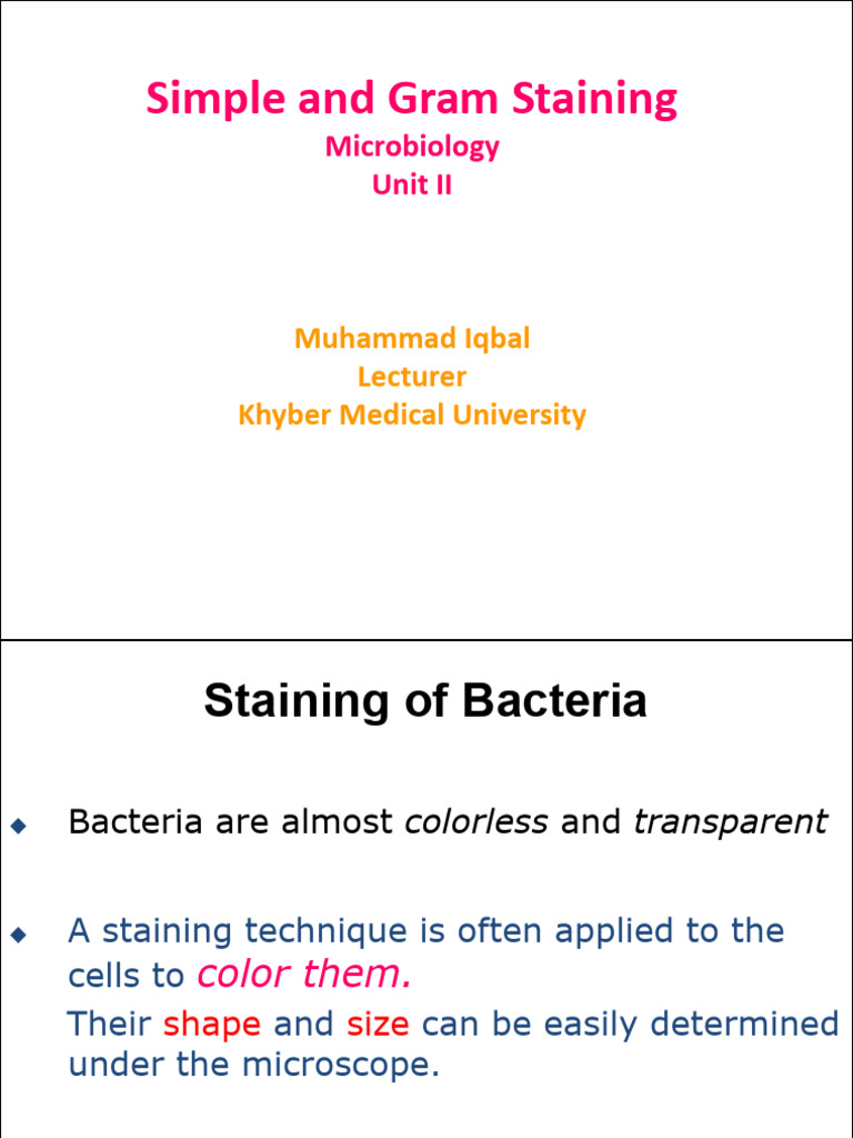 Simple and Gram Staining Techniques | PDF | Staining | Laboratory ...