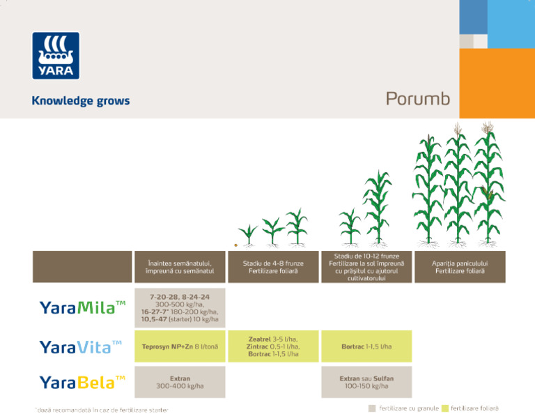 Porumb RO Corn Technologies - YARA | PDF