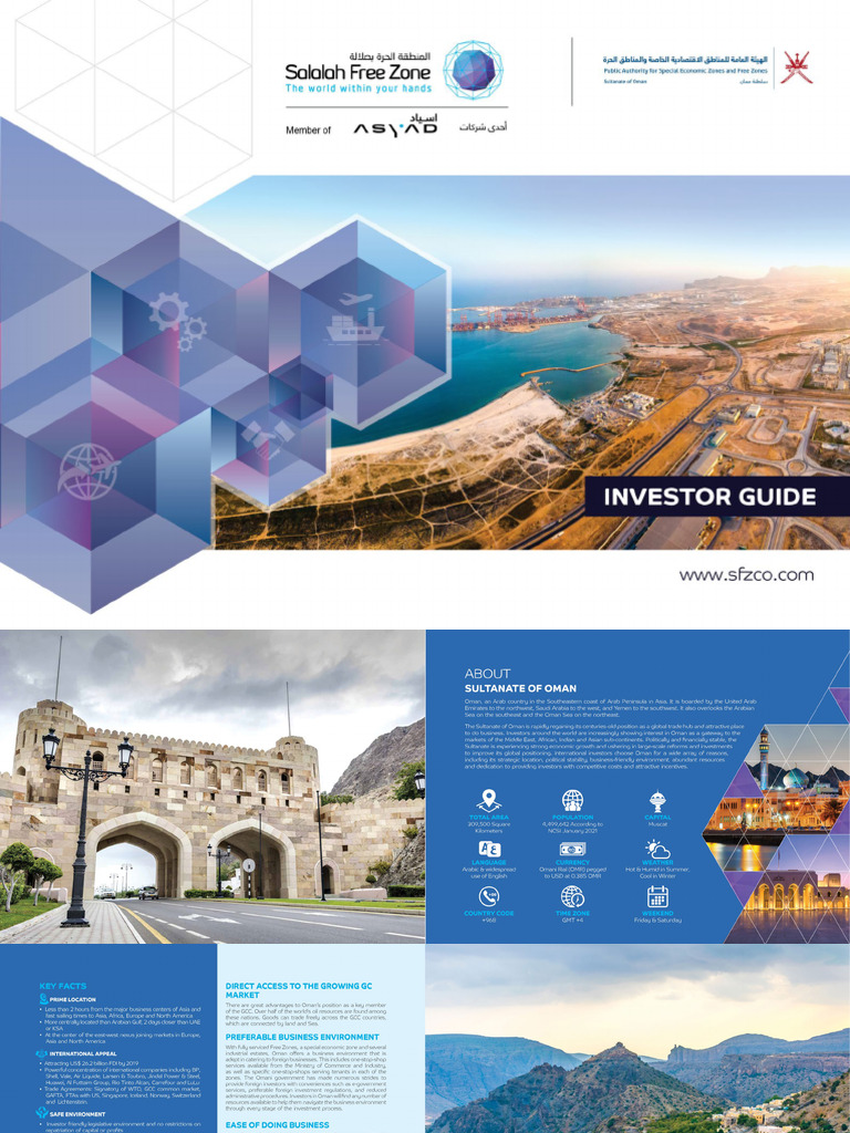 SFZ Investor Guide | PDF