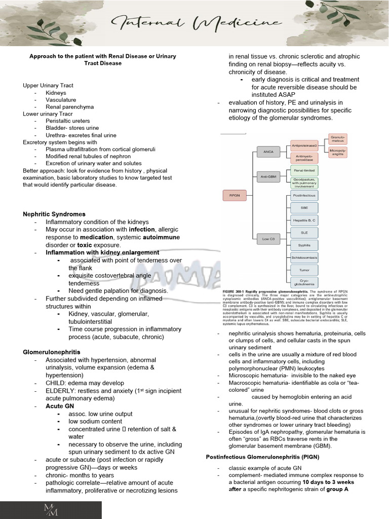 Renal and Urinary Tract Disease Overview | PDF | Hemodialysis | Kidney ...