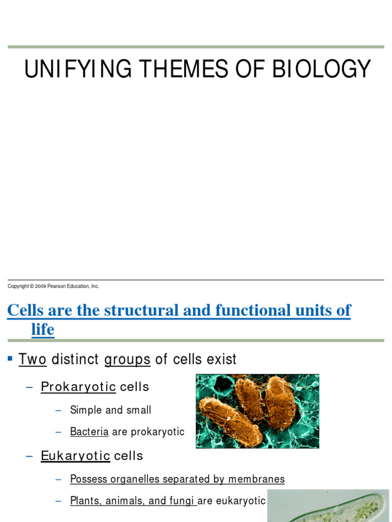 AMT Unifying Themes | Download Free PDF | Cell (Biology) | Organisms