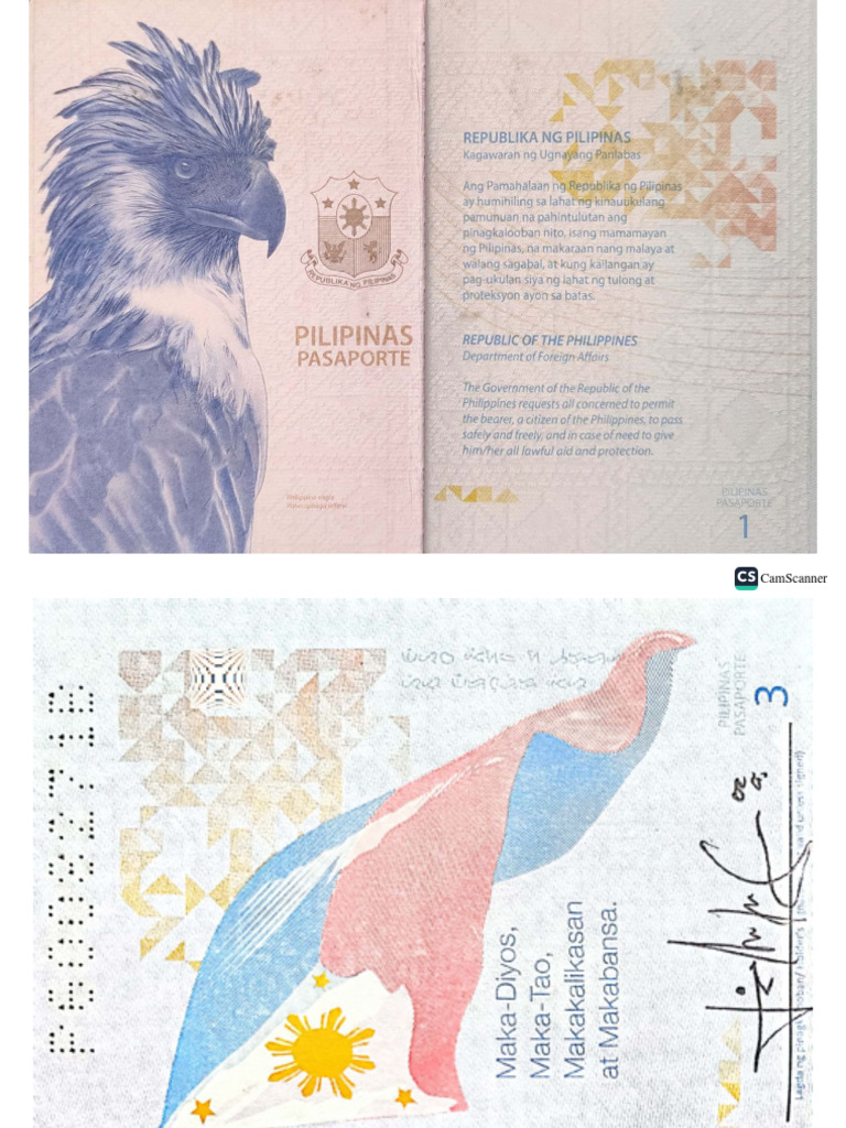 Don Albert Azurin - Passport | PDF