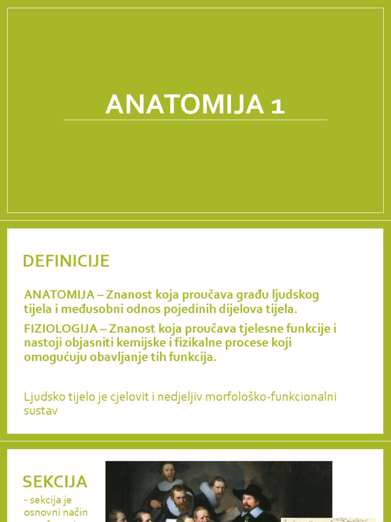 ANATOMIJA 1 | PDF