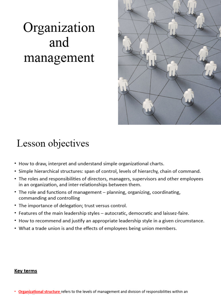 7 Organization and Management | PDF | Leadership | Hierarchy