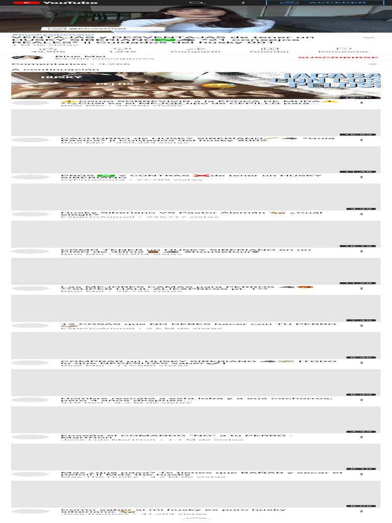 VENTAJAS y DESVENTAJAS de Tener Un HUSKY SIBERIANO ? 21 Consejos REALES Cuidados Del Husky 001 ...