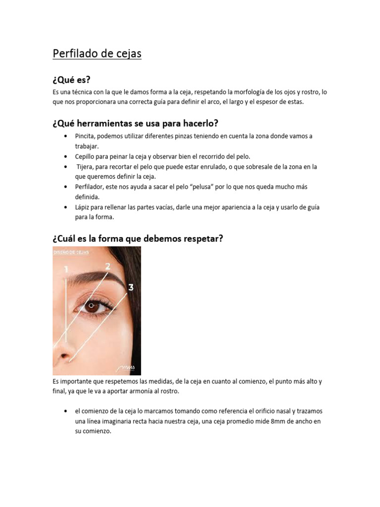 Curso Perfilado de Cejas | PDF