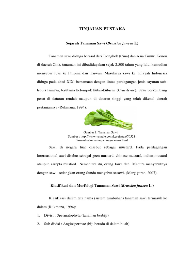 Tinjauan Pustaka | PDF