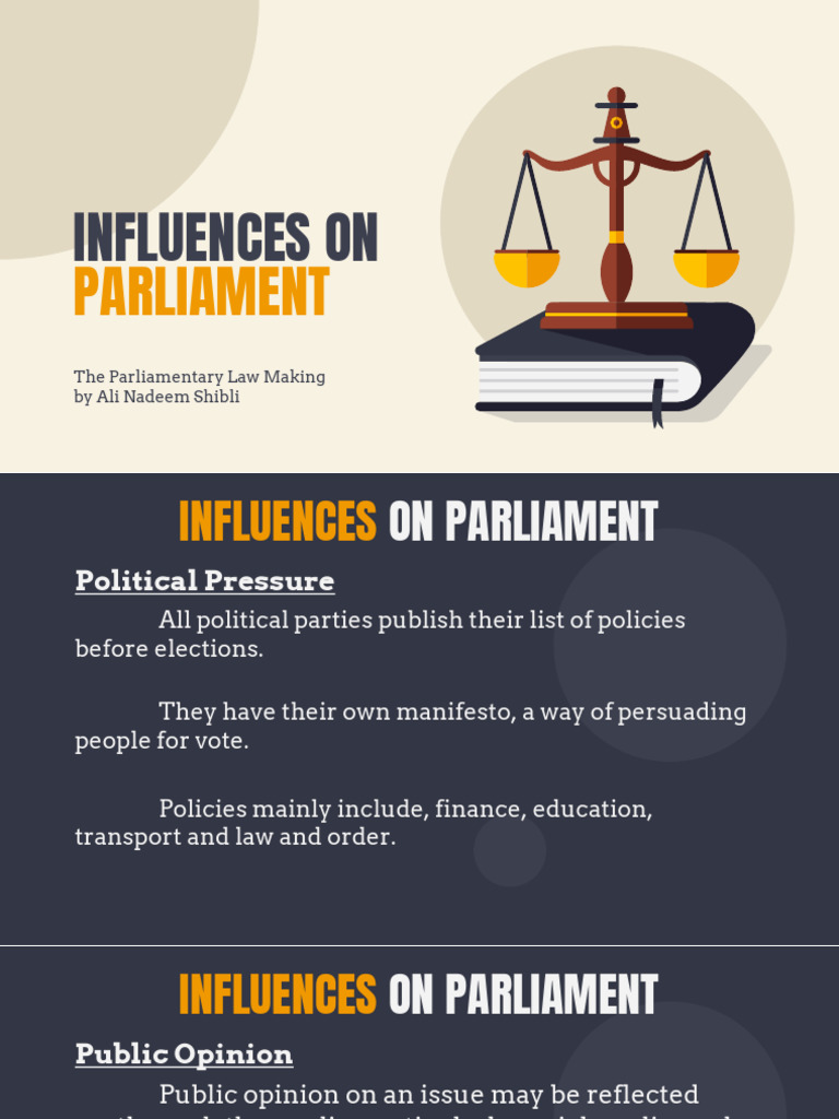 Influences on Parliamentary Lawmaking | PDF | Advocacy Group | Acquittal