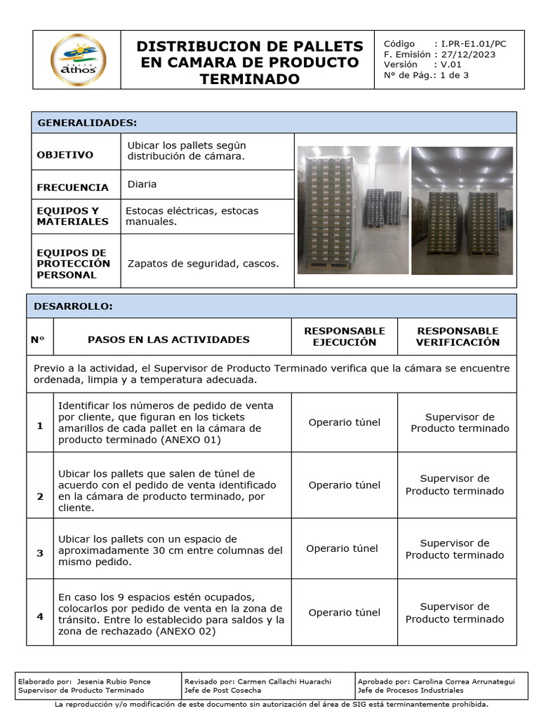 I.pr-E1.01-Pc Distribución de Pallets en Camara de Pt. V.01 | PDF