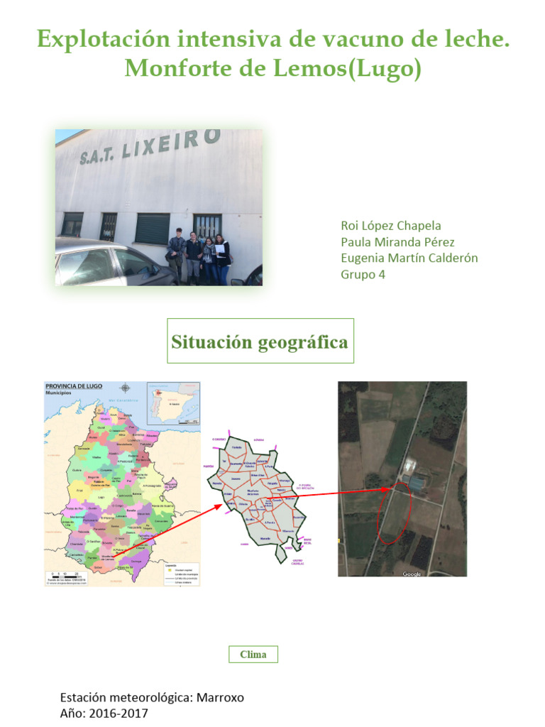 Explotación Intensiva de Vacuno de Leche Power Point | PDF | Vacas ...