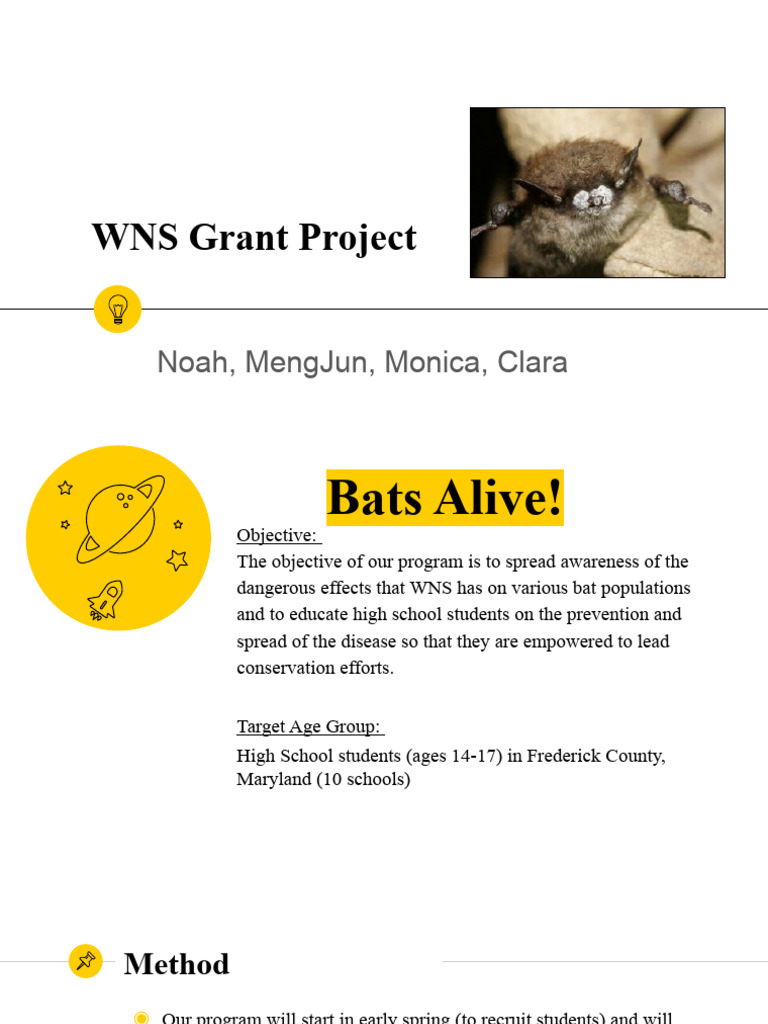 wns presentation 1 | PDF