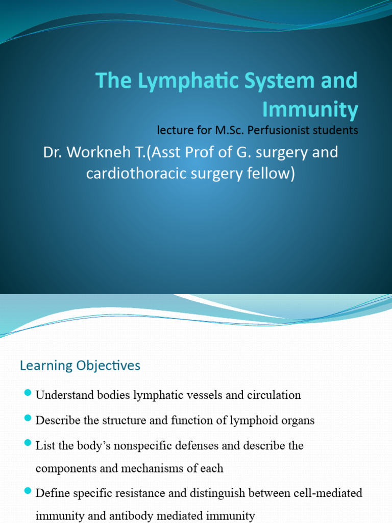 The Lymphatic System and Immunity | PDF | Lymph Node | Lymphatic System