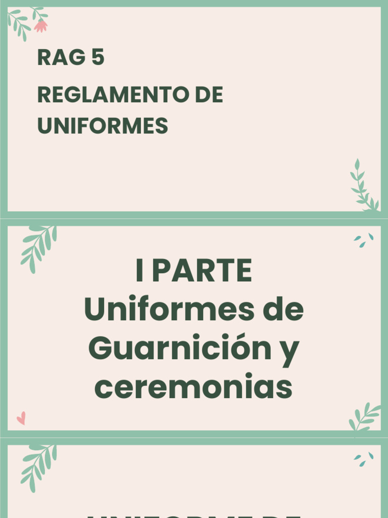 Rag 5 | PDF | Oficial no comisionado | Ropa