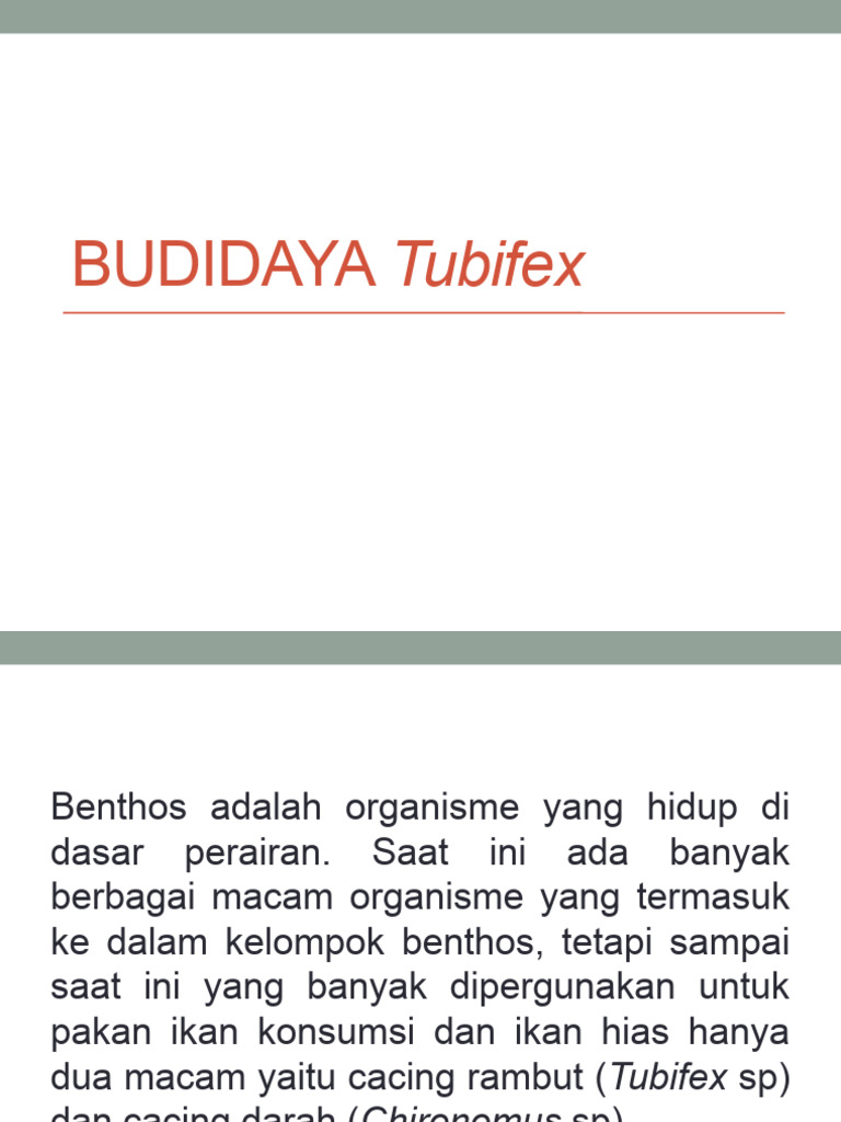 Budidaya Cacing | PDF