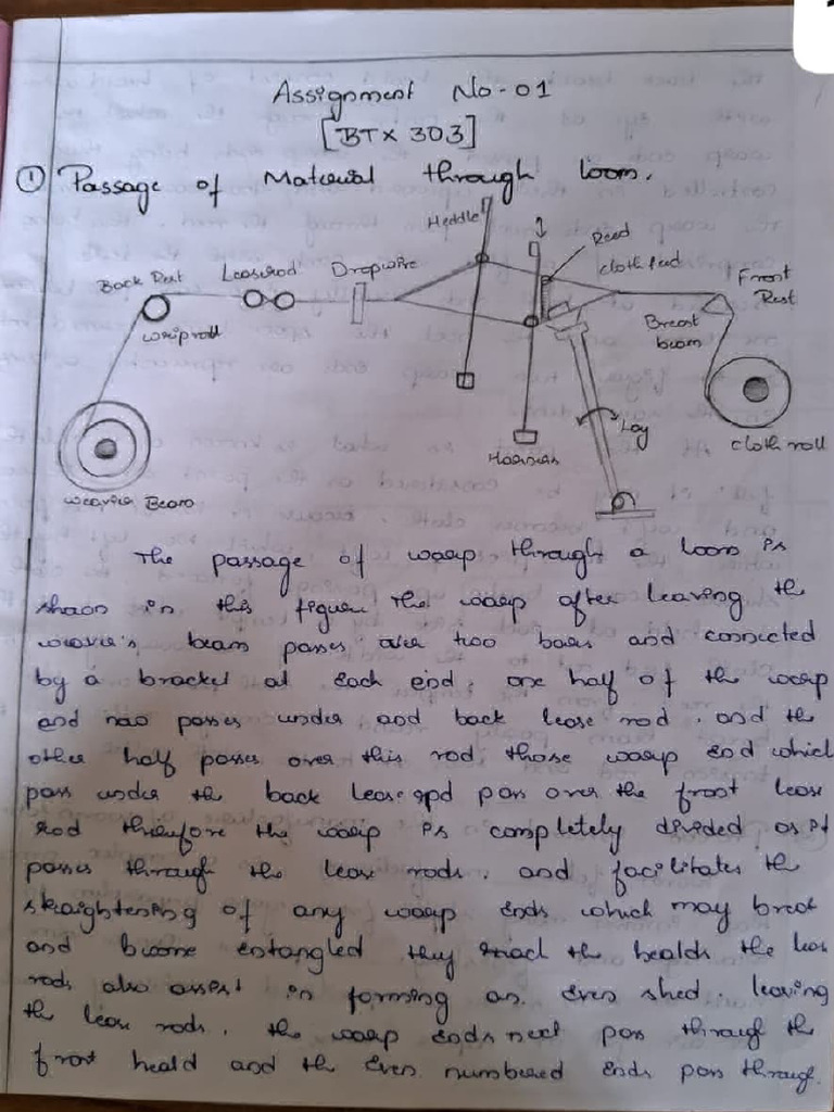 WT Assignment 1 | PDF