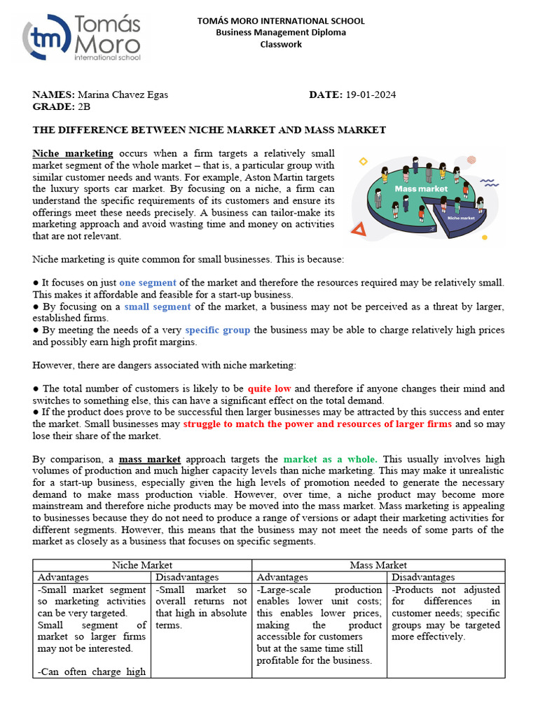 Niche Market VS Mass Market | Download Free PDF | Marketing | Market ...
