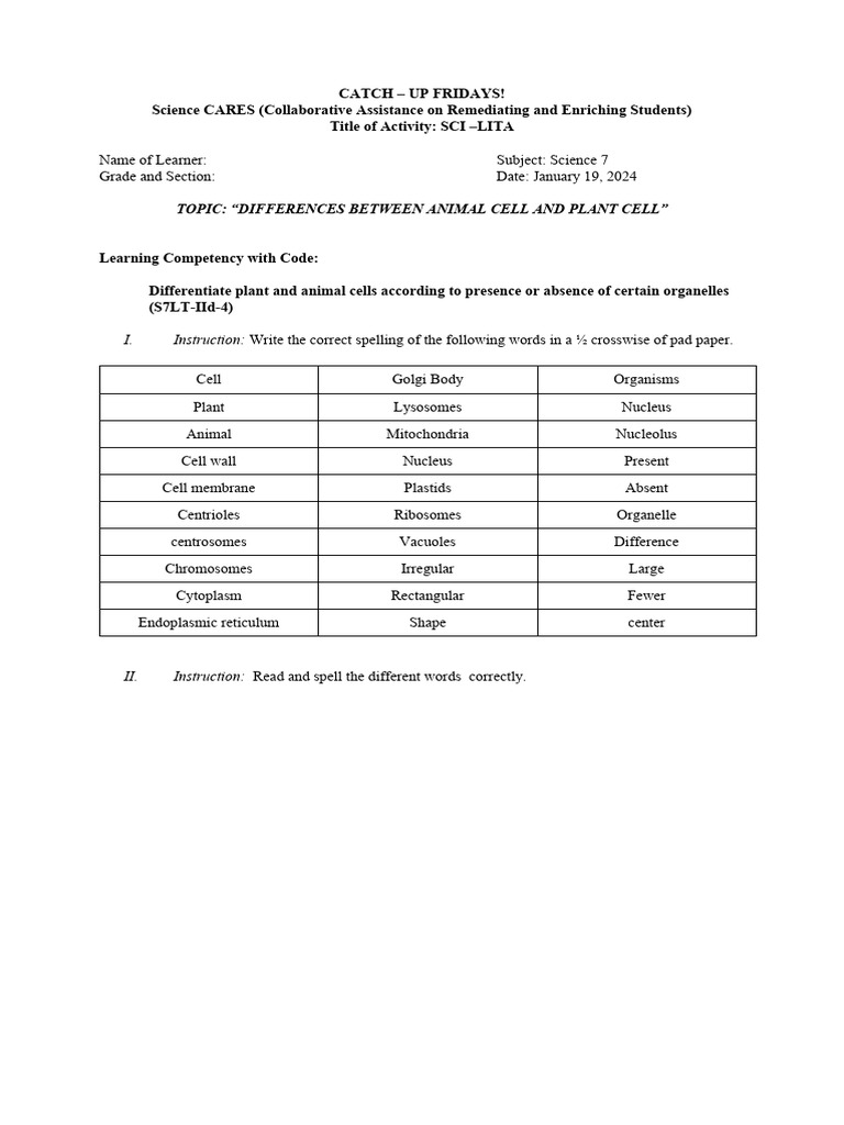 CATCH-up-Fridays-activity-template G7 | PDF