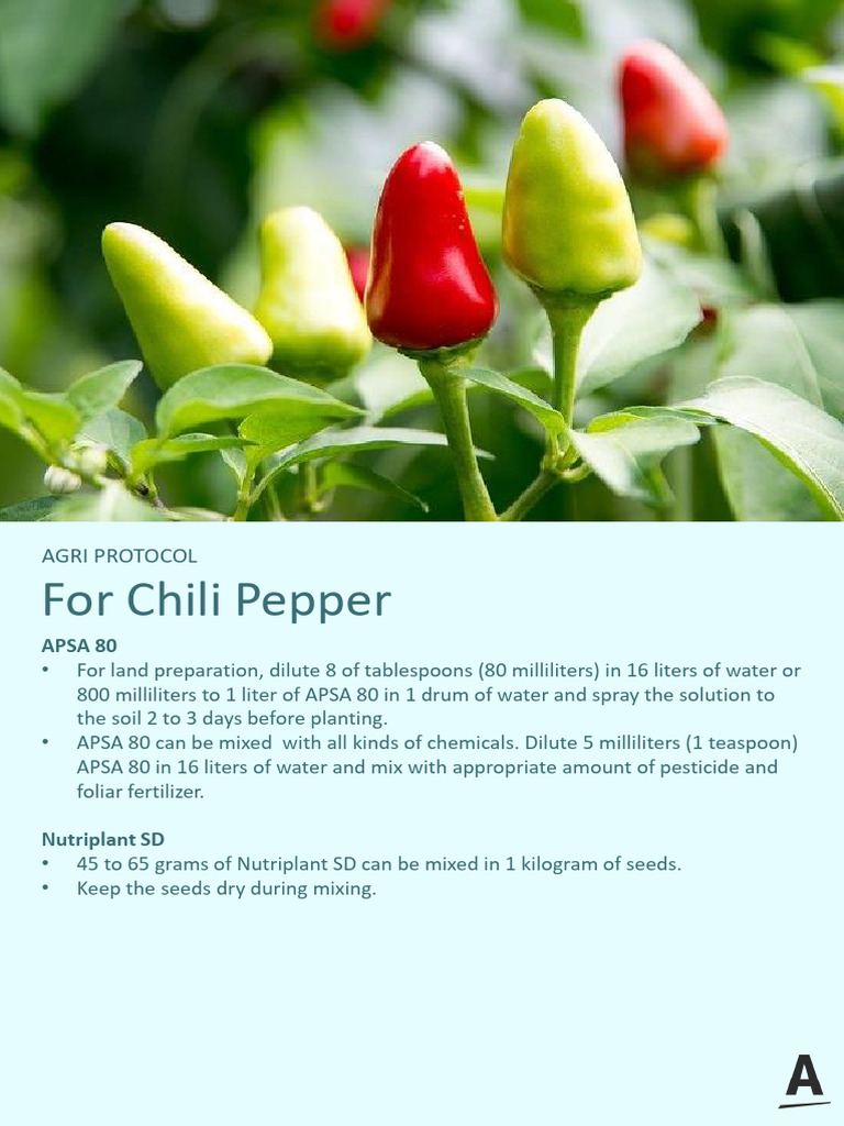 Chili Pepper Agri Protocol Guide | PDF