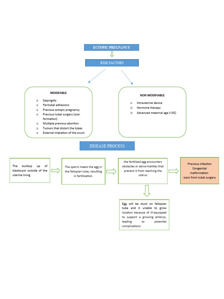 ectopic phatophysiology tentative | PDF | Woman | Gynaecology