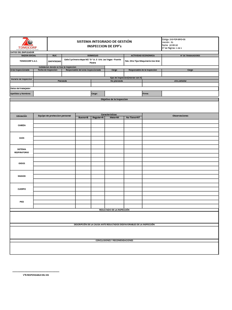 SIG-FOR-BRO-08 Formato Inspeccion de Epps | PDF