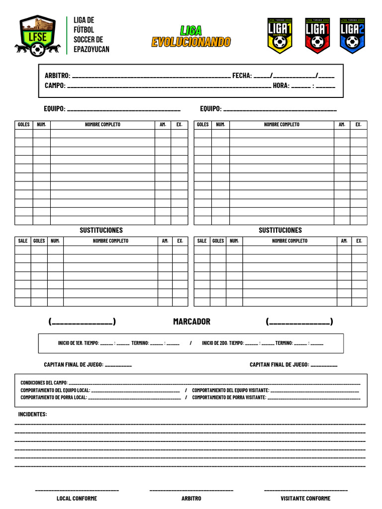 Cedula Lfse - 240106 - 181358 | PDF | Tecnología
