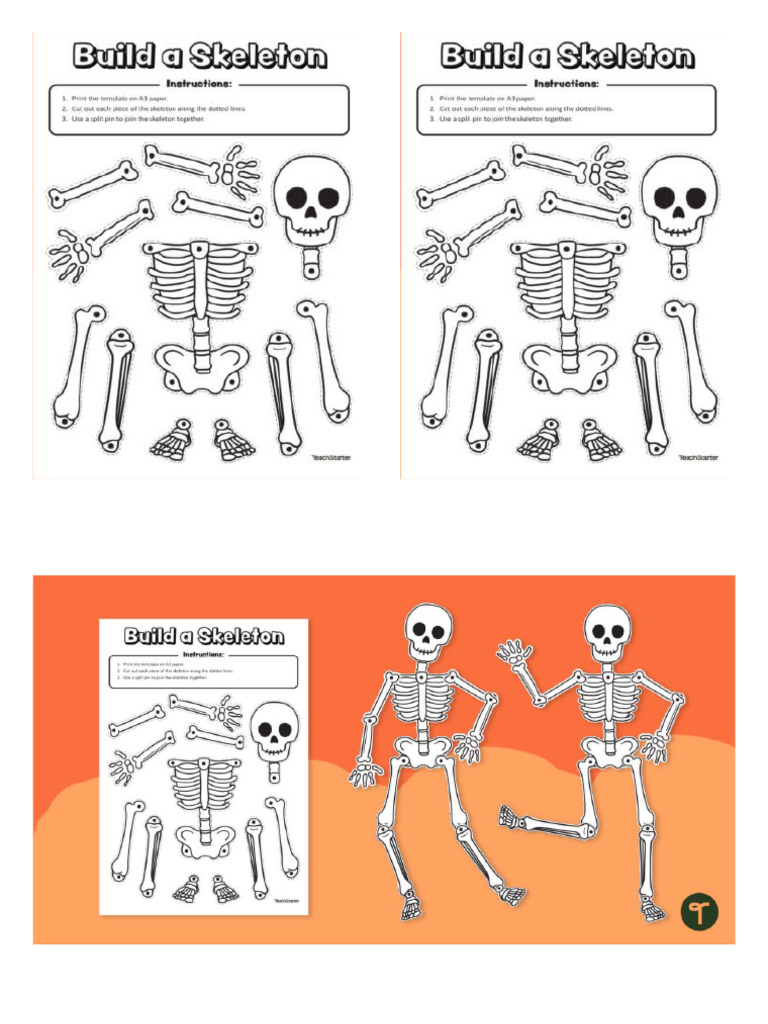 Skeletal | PDF
