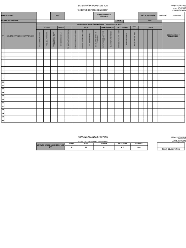 REGISTRO DE INSPECCIÓN DE EPPS GENERAL Version 2023 | PDF
