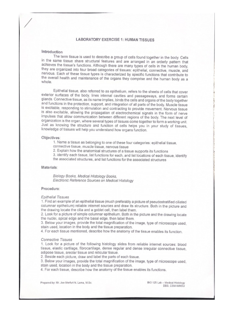 Laboratory Exercise 1 Human Tissues | PDF