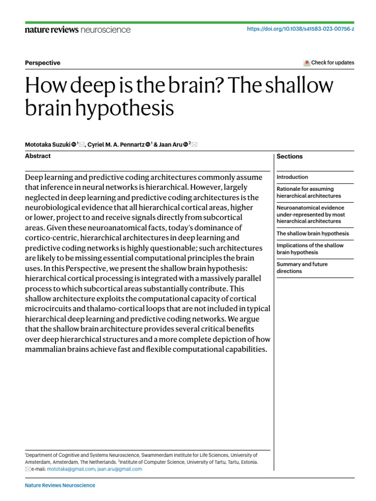 How Deep Is The Brain | PDF | Cerebral Cortex | Visual Cortex