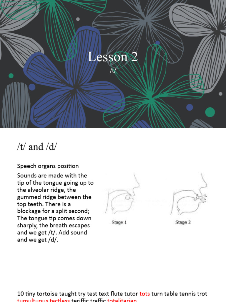 Lesson 2 - Plosive Consonants T and D | PDF