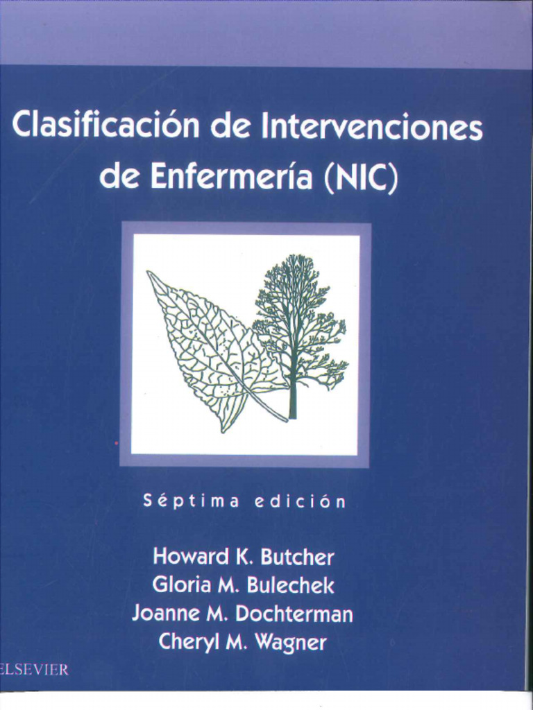 Libro NIC Séptima Edición | PDF