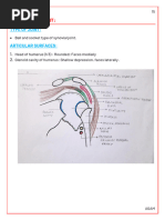 Thieme Dissector-Upper Limb and Thorax | PDF | Anatomy | Science