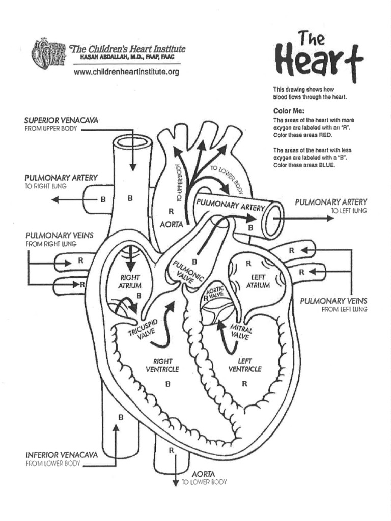 Pic of Heart | PDF