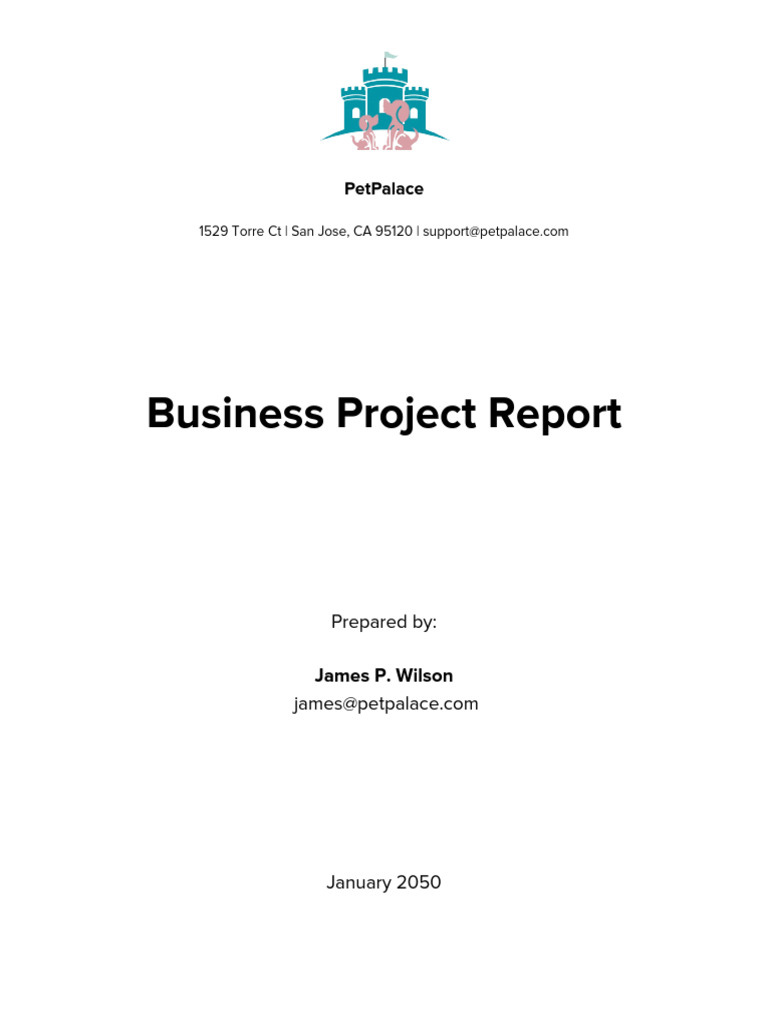 Business Project Reports Template | PDF | Business | Finance & Money Management